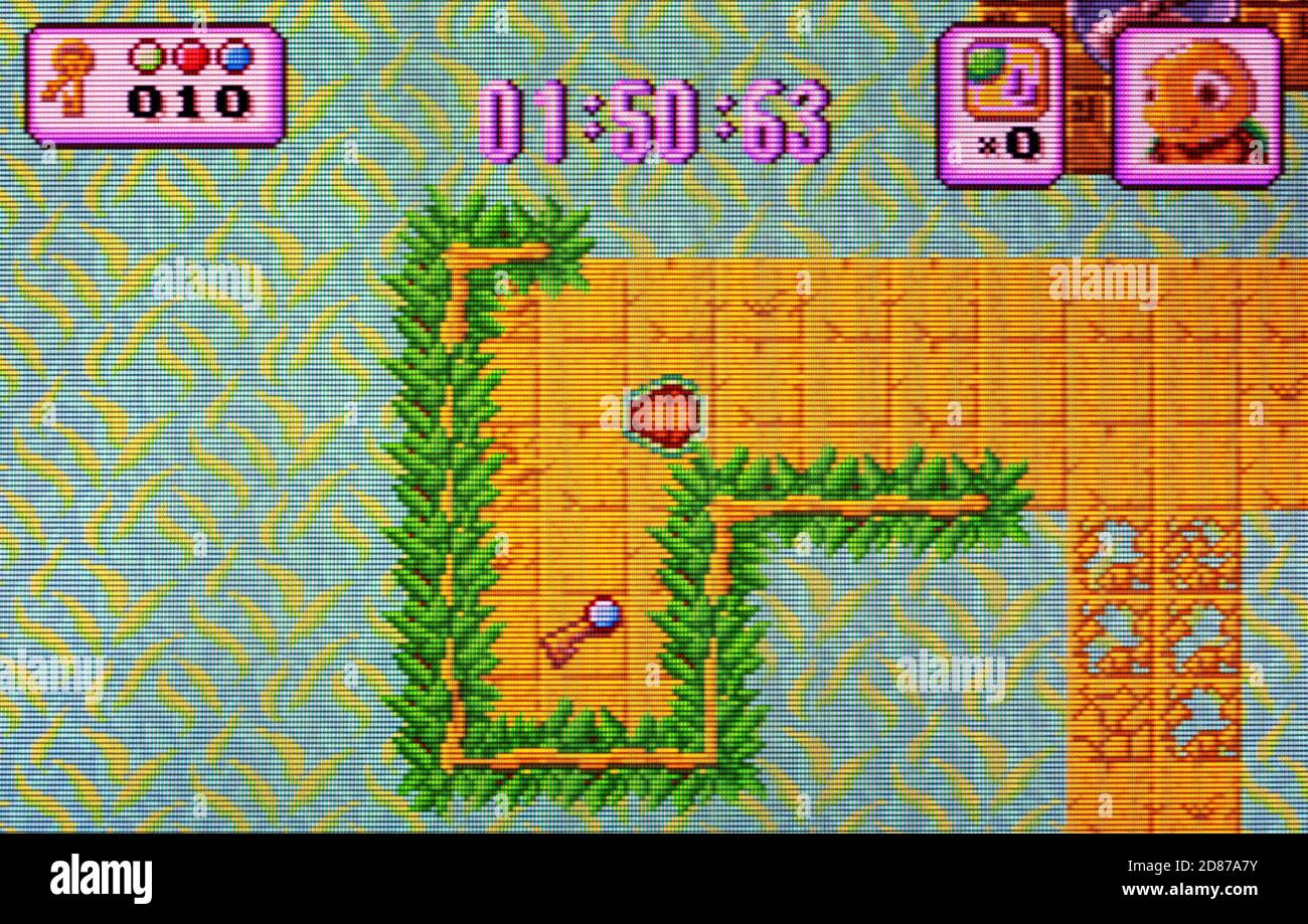 Turbo Turtle Adventure - Nintendo Game Boy Advance Videogame ...