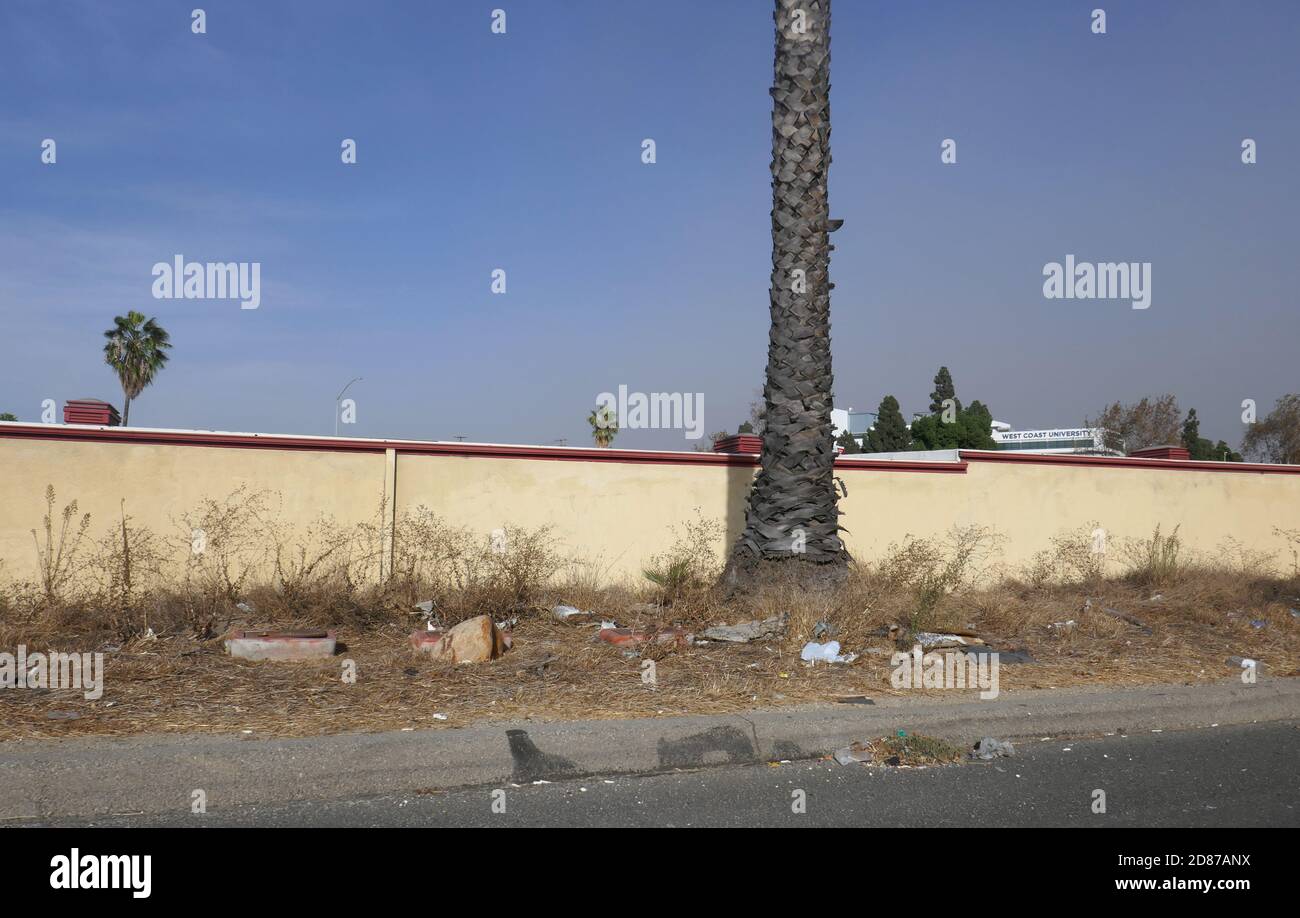 Los Angeles, California, USA 26th October 2020 A general view of ...