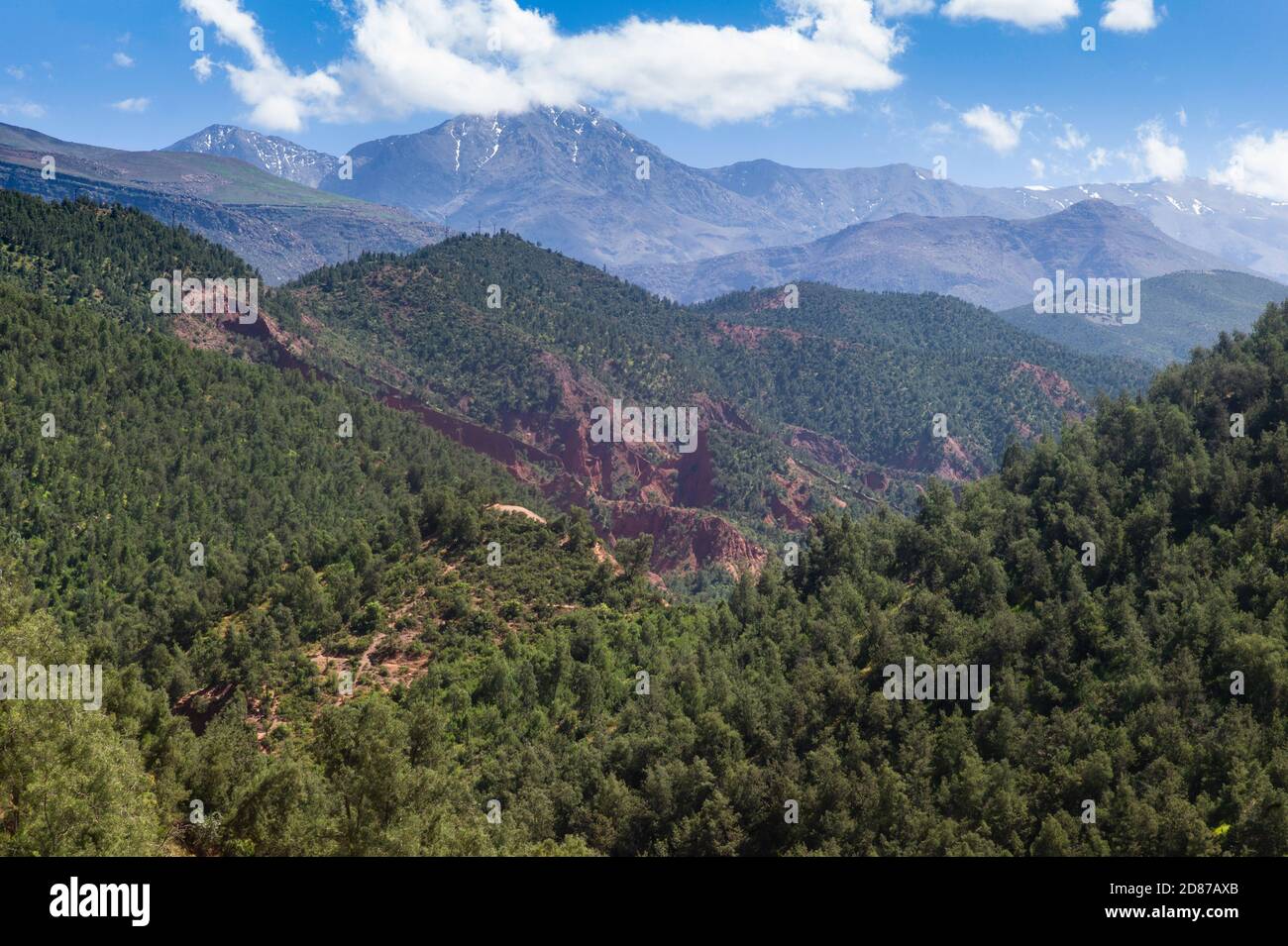 Beautiful forest landscape morocco hi-res stock photography and images ...