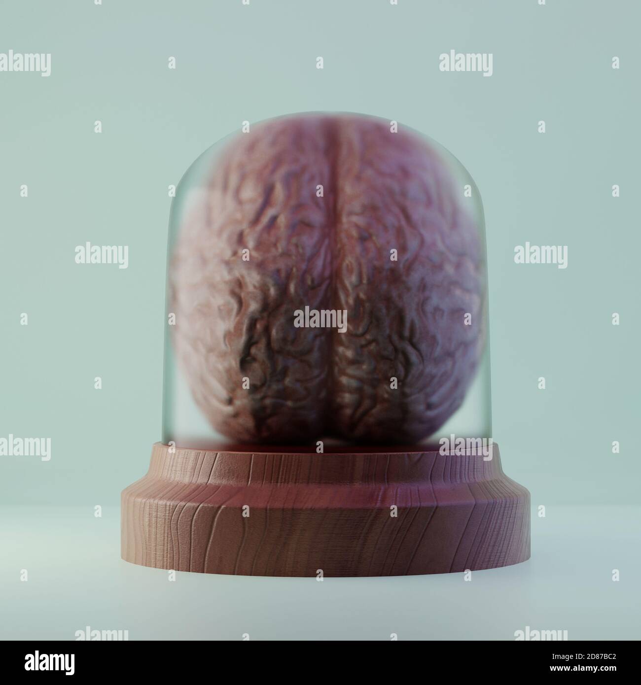 Science props hi-res stock photography and images - Alamy