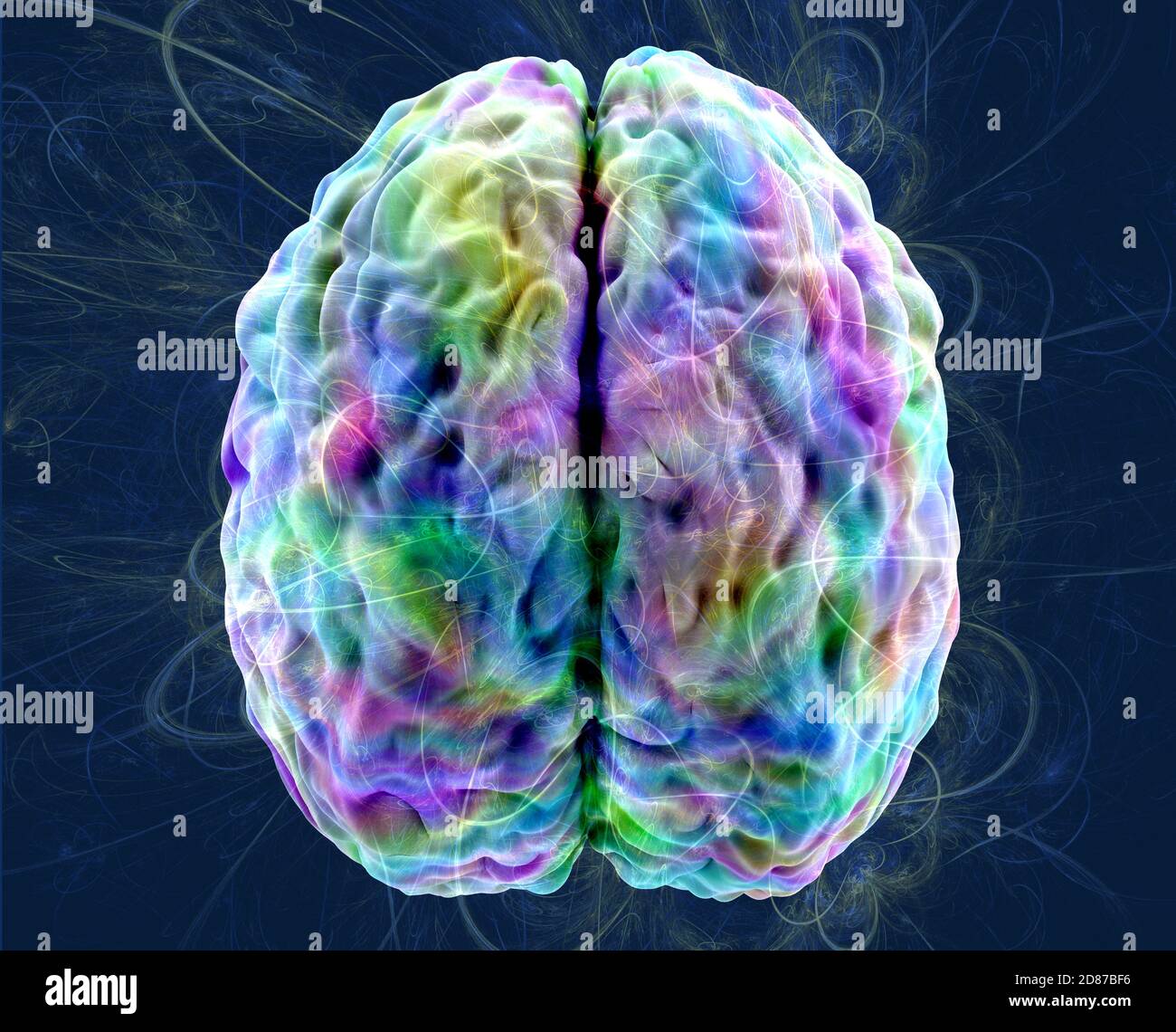 overmind, brain activity, colored human overbrain model, view top, 3d ...