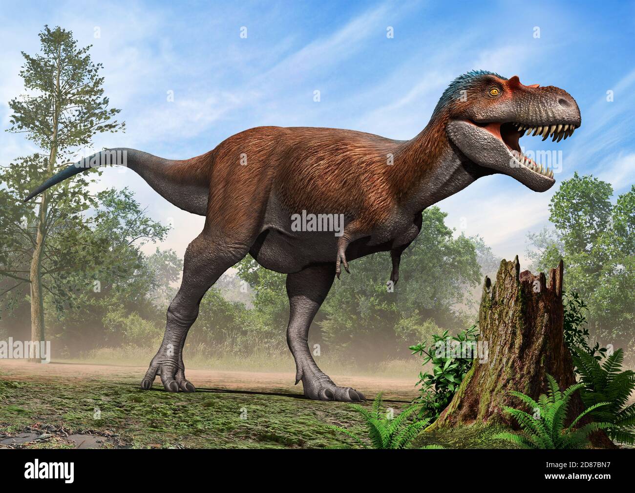 Tyrannosaurids hi-res stock photography and images - Alamy