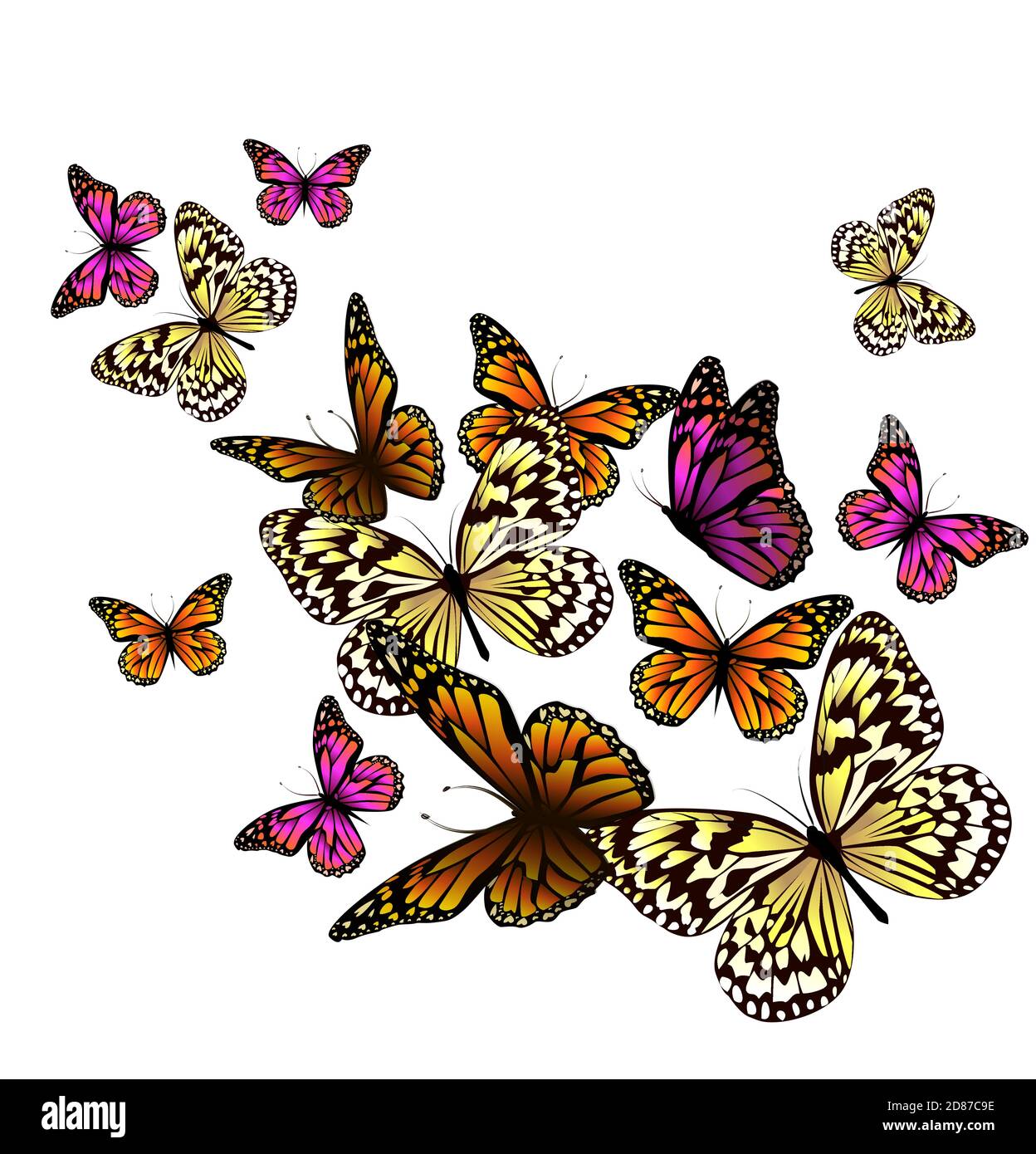 Best butterflies Stock Vector Images - Alamy
