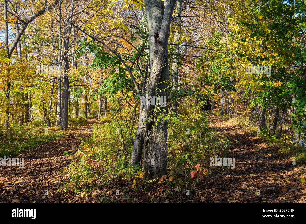 Long Point State Park Stock Photo - Alamy