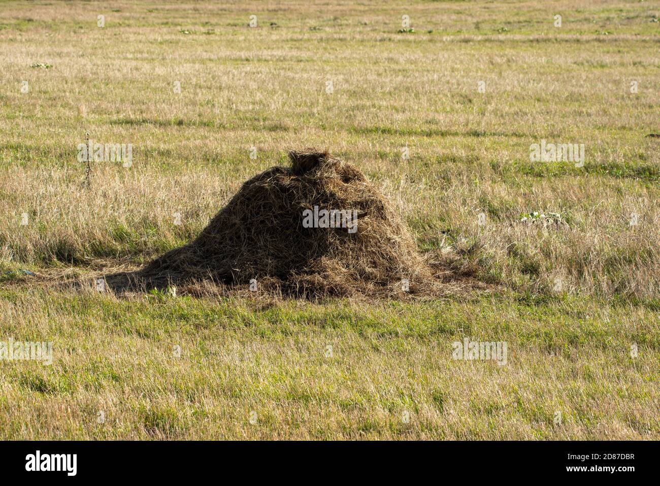 Heap pile of soil on farm land yellow green dry autumn grass Stock ...