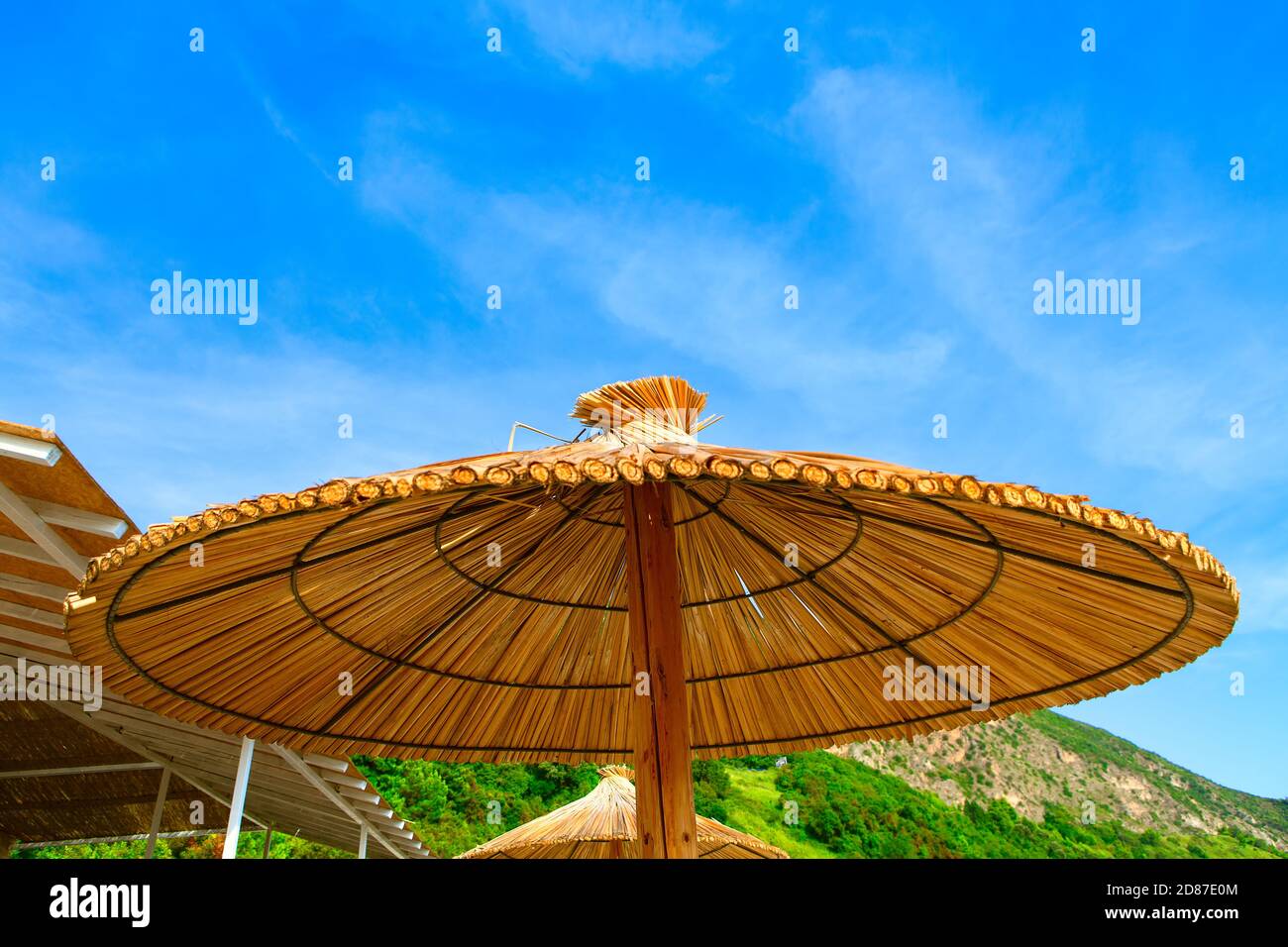 Under the exotic beach umbrella . Vacation on the tropical coast Stock ...