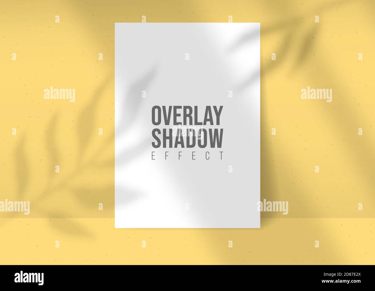 Shadow Overlay Plant Vector Mockup A4 Paper sheets. Shadows overlay ...