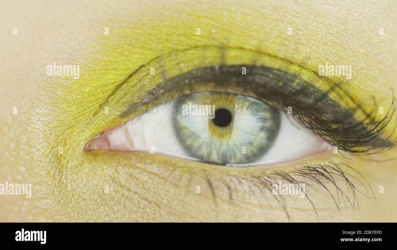 One female eye with makeup open, blink, look directly and to the side ...