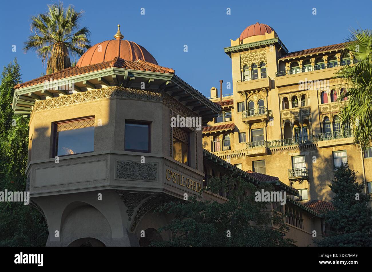 Pasadena palm trees hi-res stock photography and images - Alamy