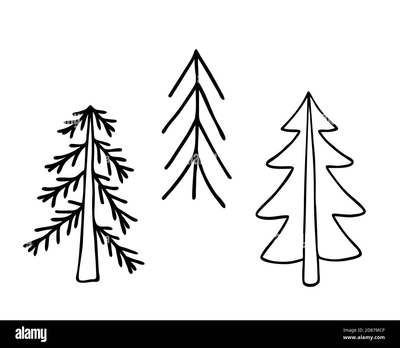 Simple Pine Tree Illustration