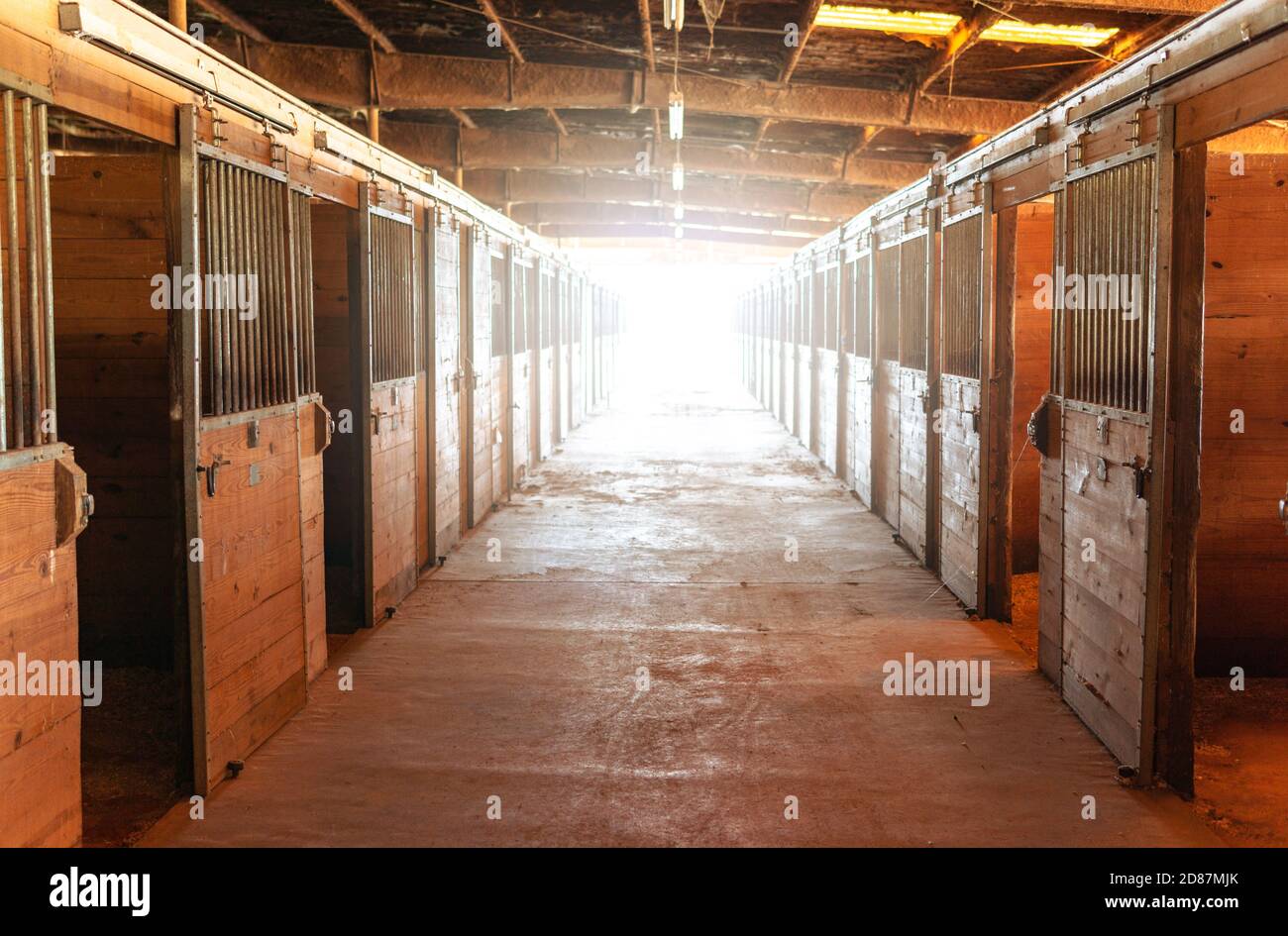 Light In Horse Barn Stables Epic Beautiful Photograph Stock Photo - Alamy