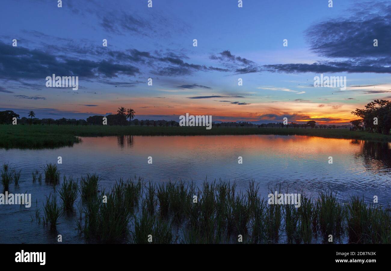 Panama silhouette hi-res stock photography and images - Alamy