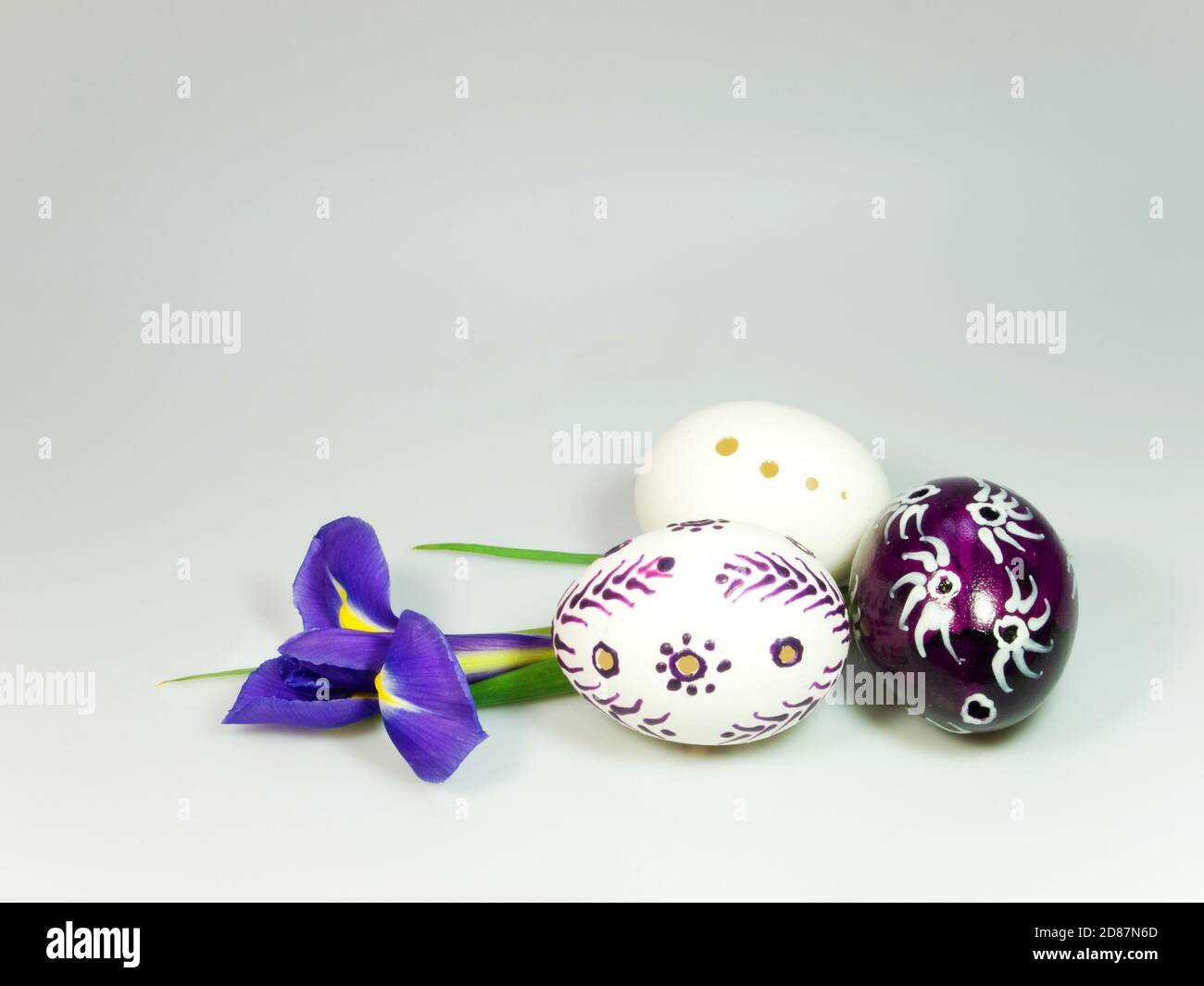 White and violet easter eggs and iris Stock Photo - Alamy