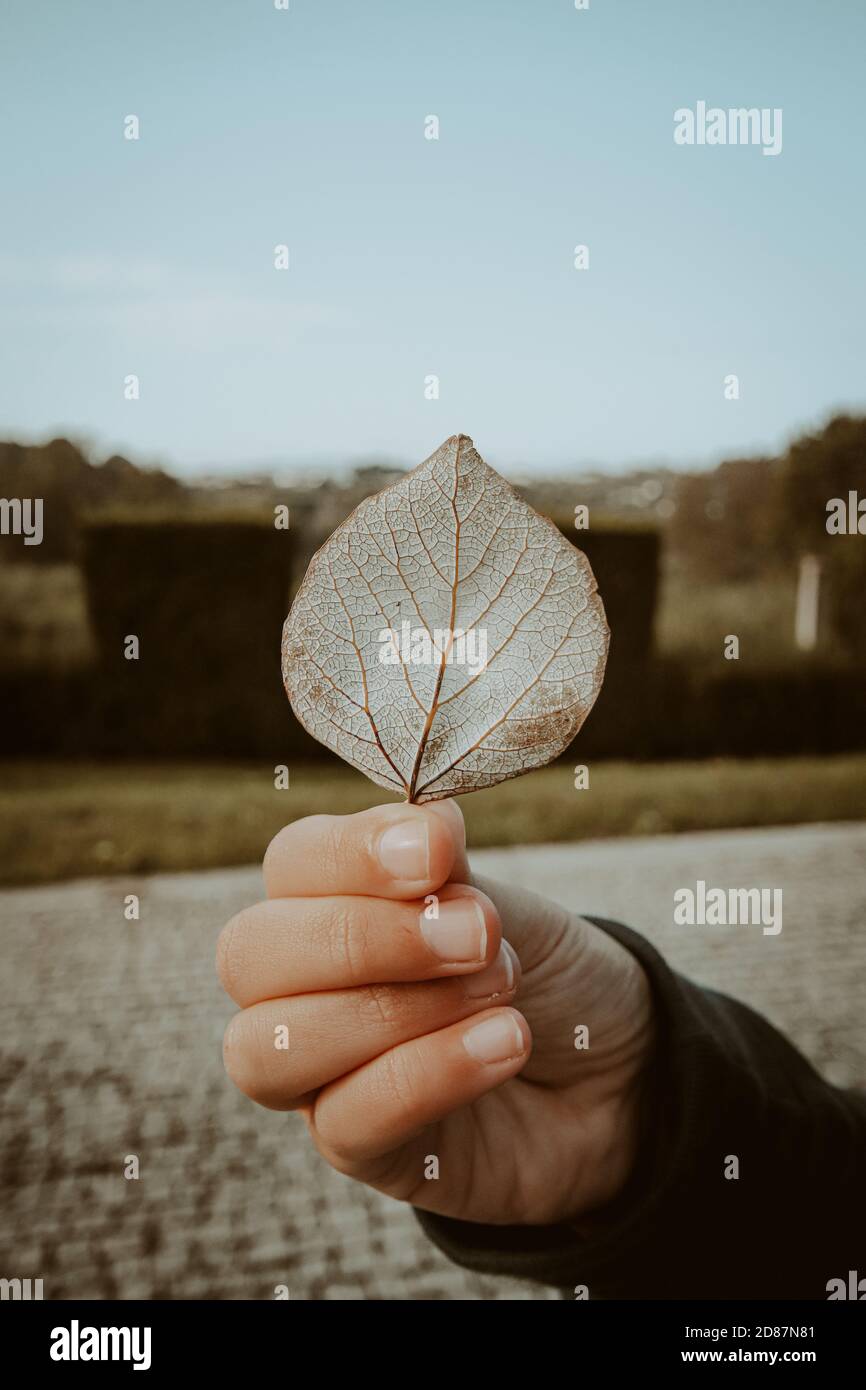 Finger flower child closeup hi-res stock photography and images - Alamy