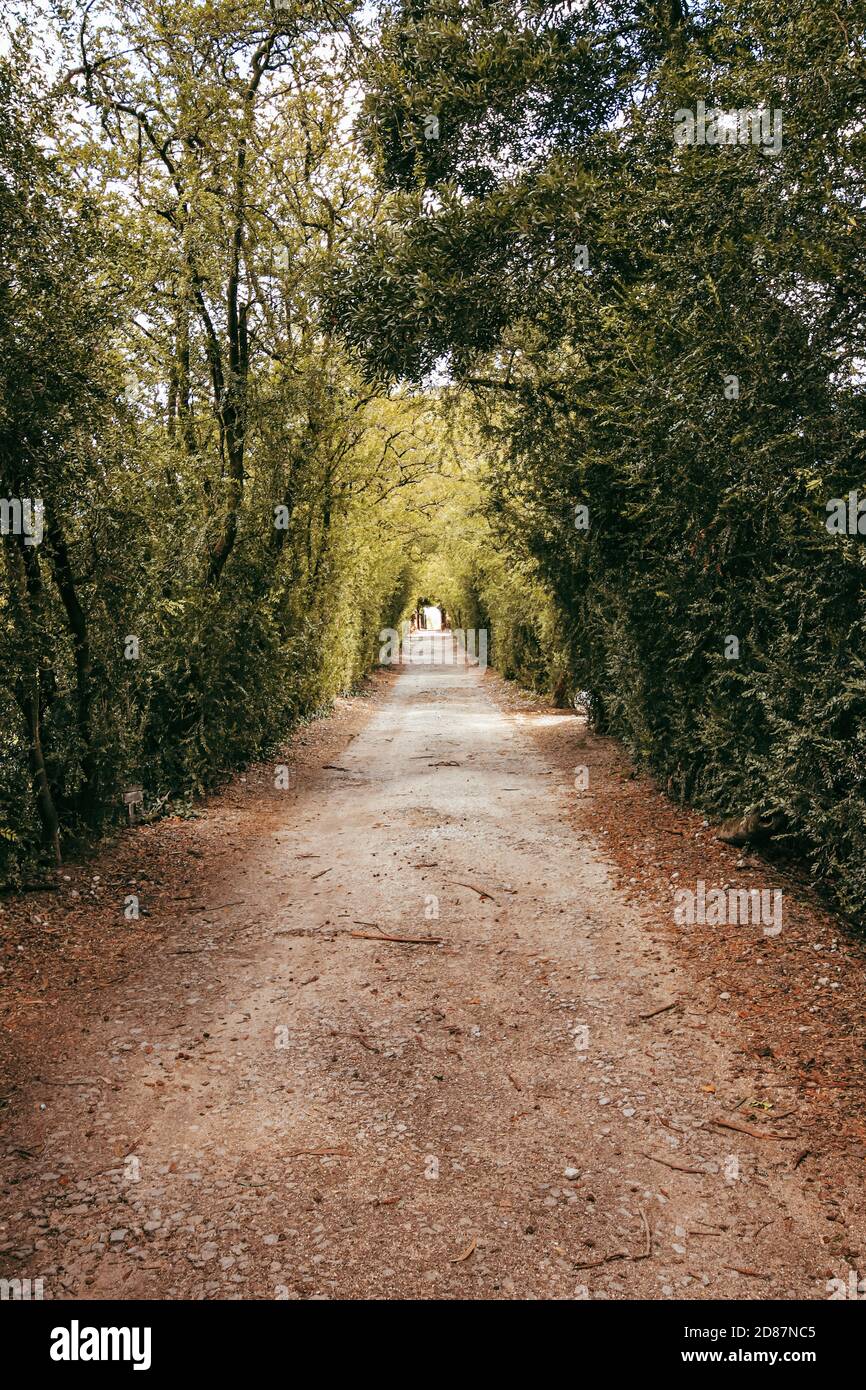 Amazing and relaxing path in a garden Surrounded by trees Stock Photo ...