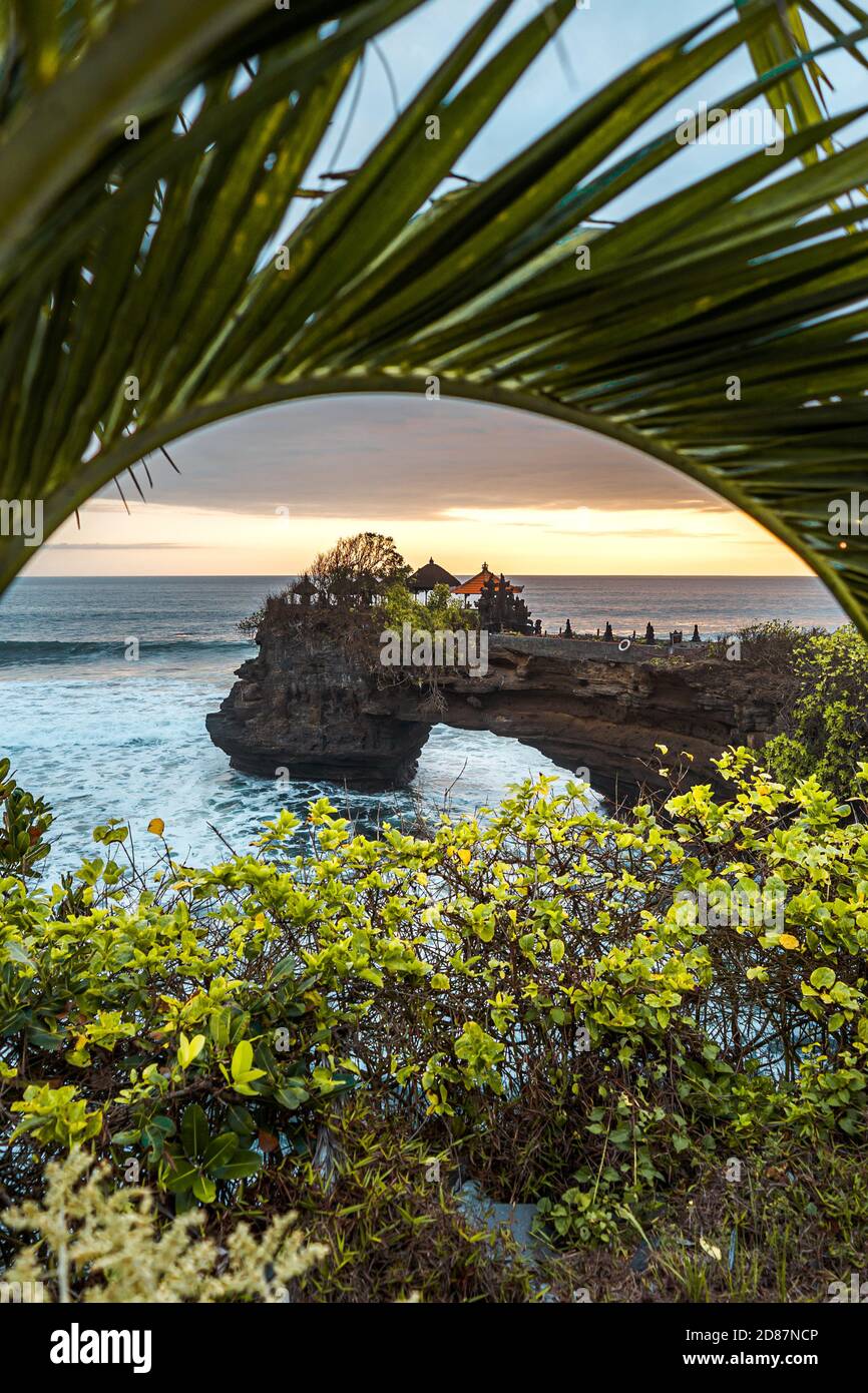 Bunga bali hi-res stock photography and images - Alamy