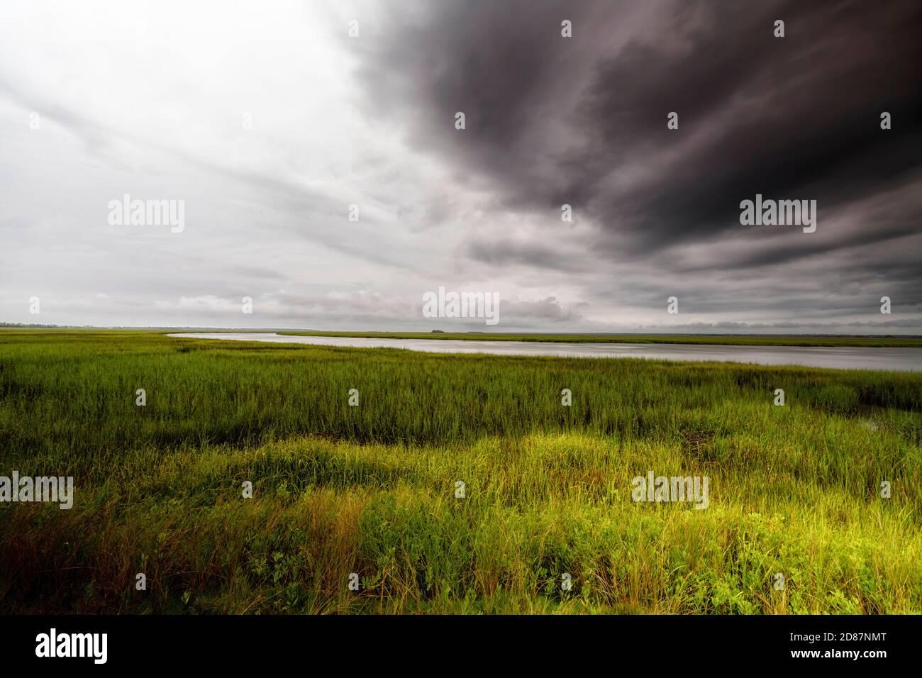 Buford South Carolina Salt Marsh Stock Photo - Alamy