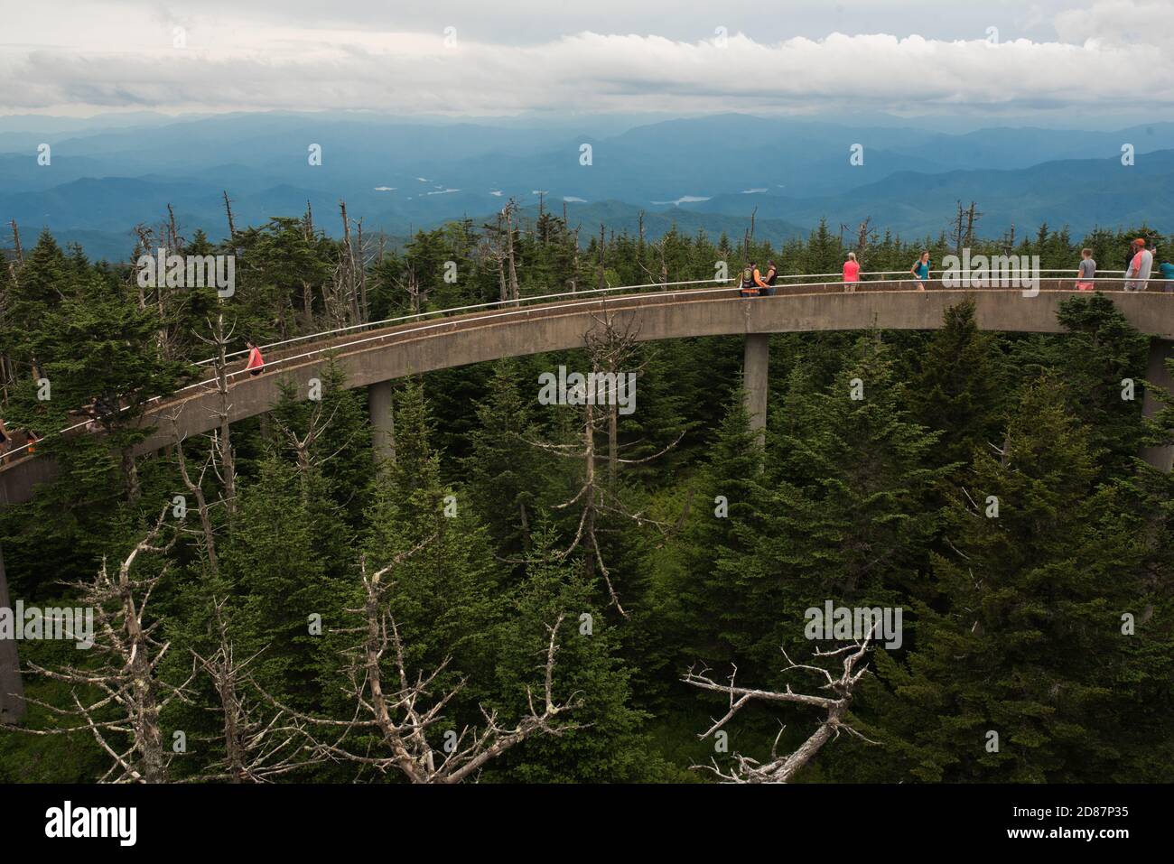 Bridge across the forest in the Appalachian mountains Stock Photo - Alamy