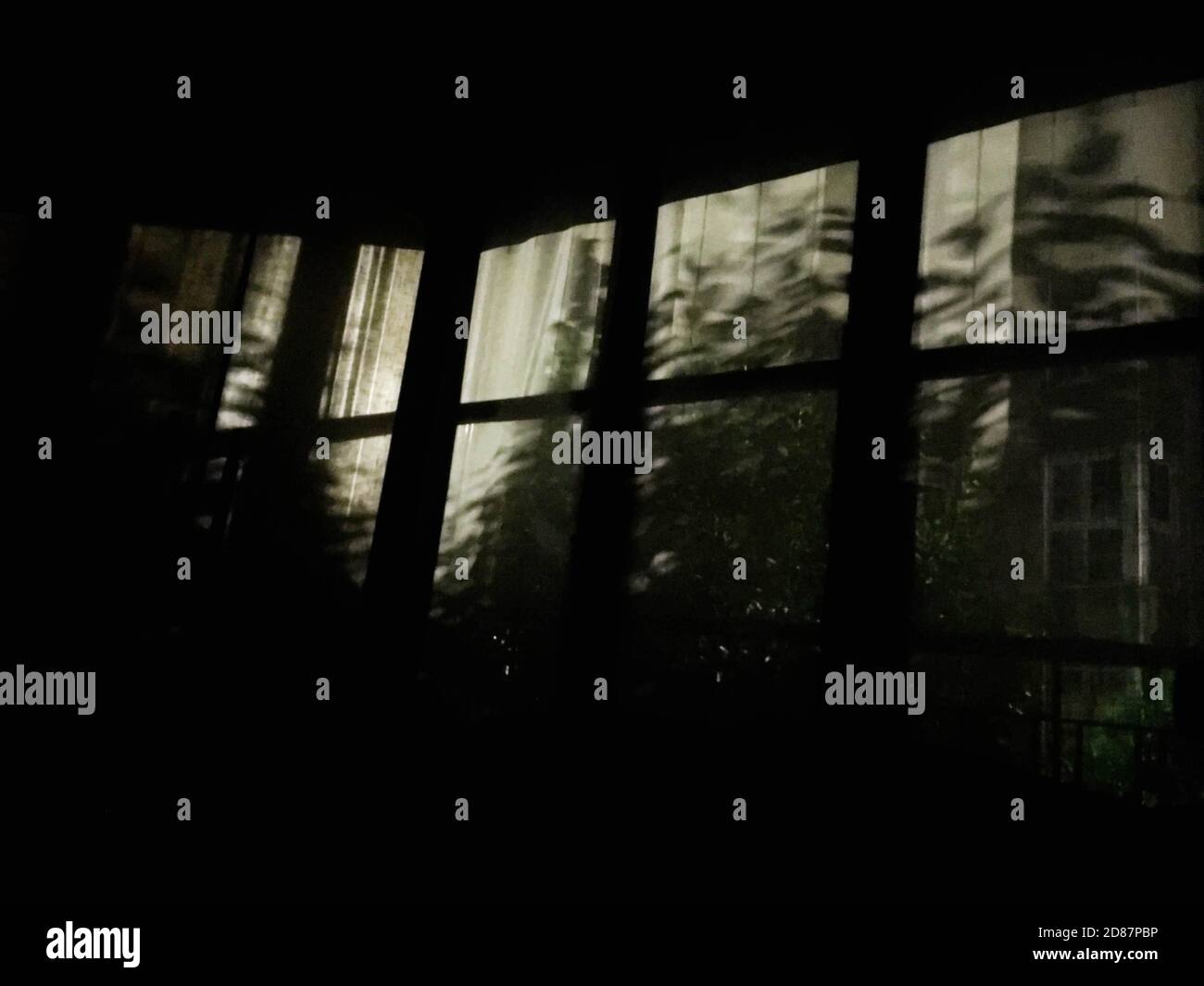 mysterious window with shadows of trees moving, dark Stock Photo - Alamy