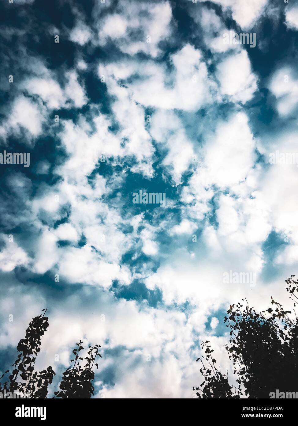 lovely blue sky with nice clouds Stock Photo - Alamy