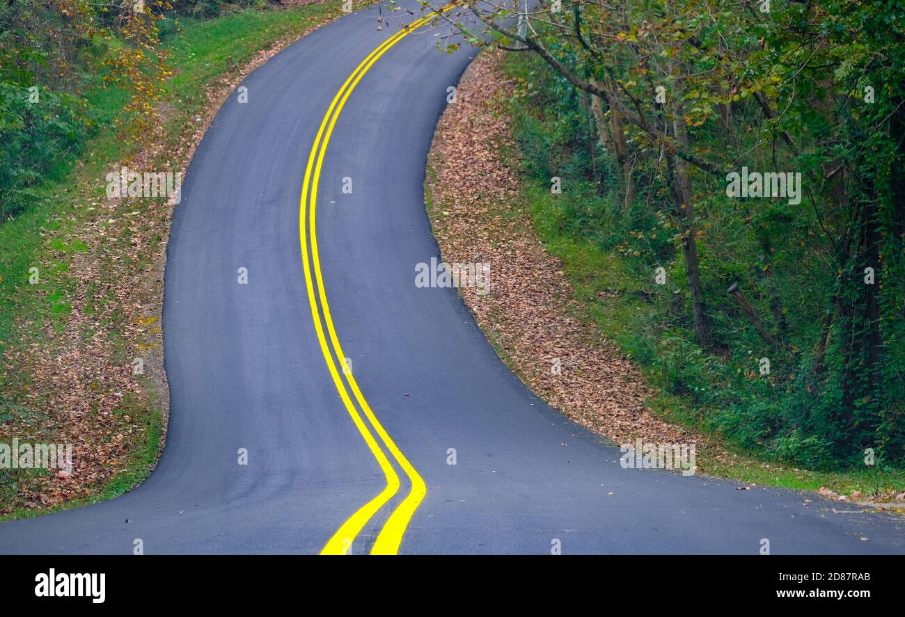 New Pavement Through Forest Stock Photo - Alamy