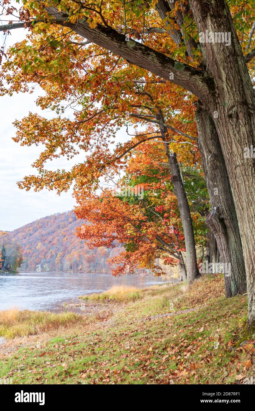 Fall colors in the trees and the hills in an Allegheny River valley in ...