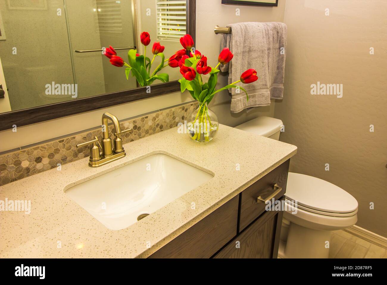 Toilet vase hi-res stock photography and images - Alamy