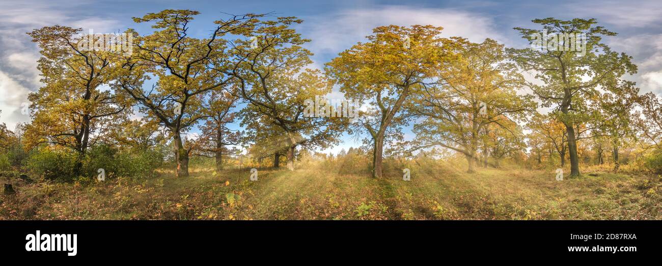 Autumn park background hdri hi-res stock photography and images - Alamy
