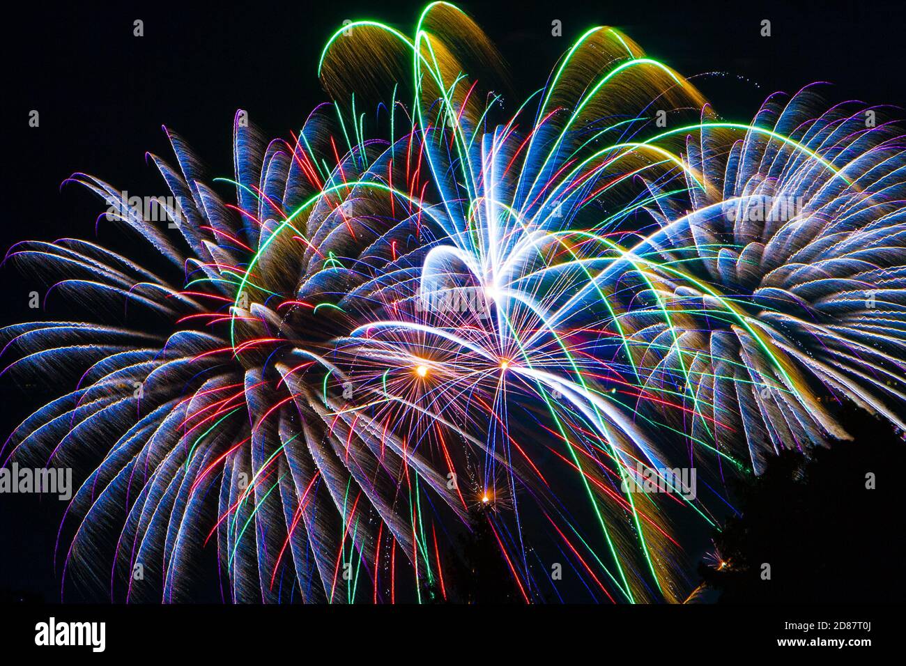 Celebrating just about anything, fireworks created deafening sound ...