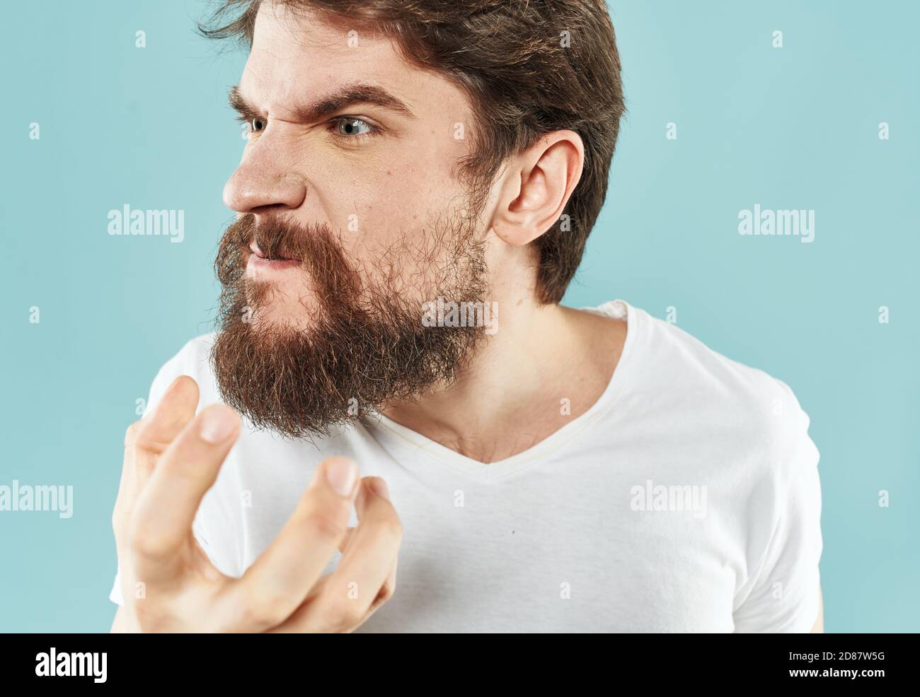 irritable man with beard on blue background portrait cropped view Stock ...