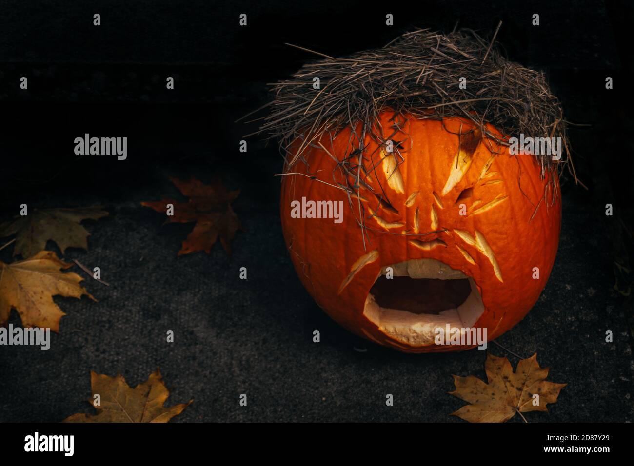 Funny halloween carved pumpkin into face expression, black background ...
