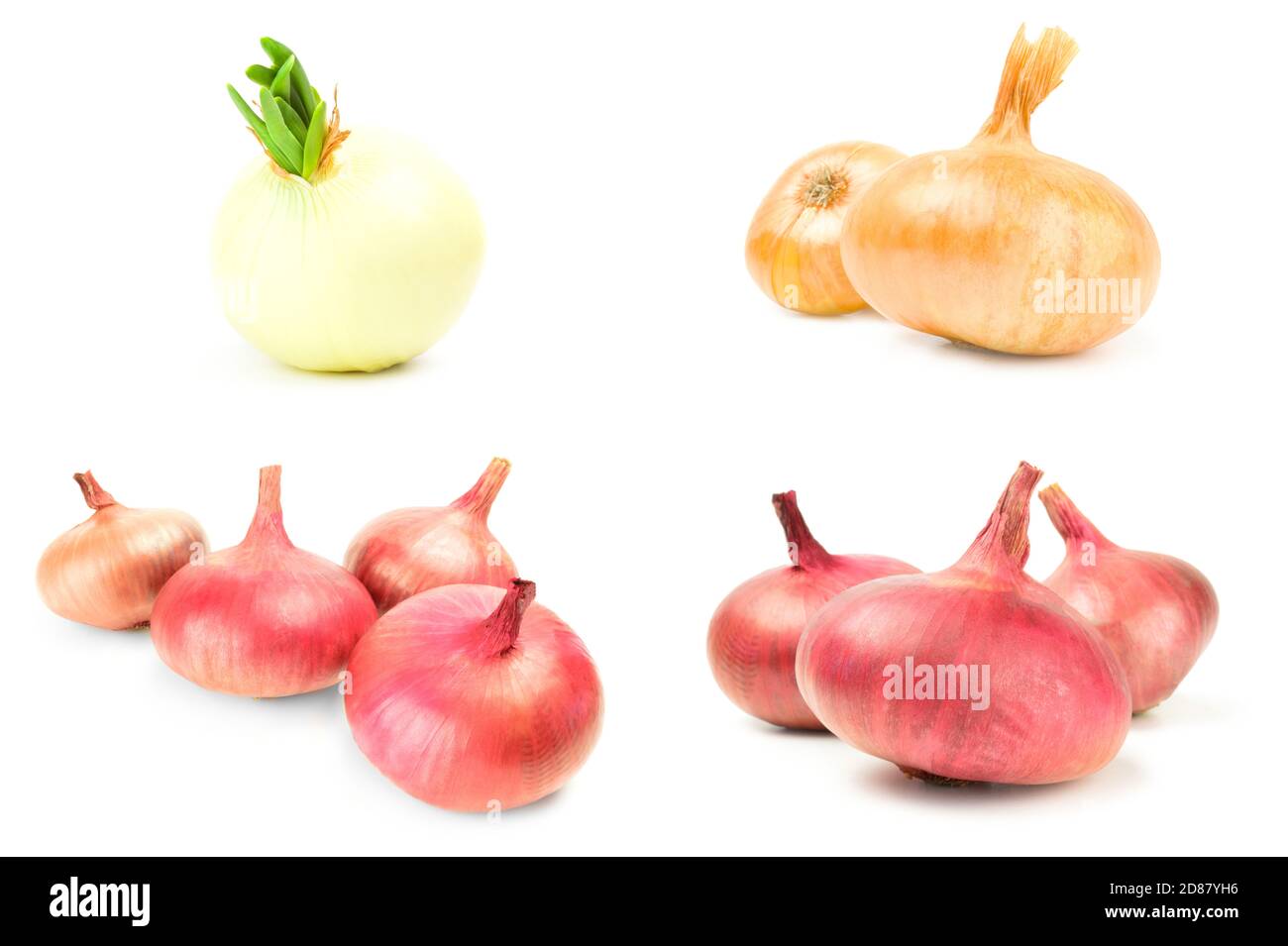 Set of Ripe onion over a white background Stock Photo - Alamy