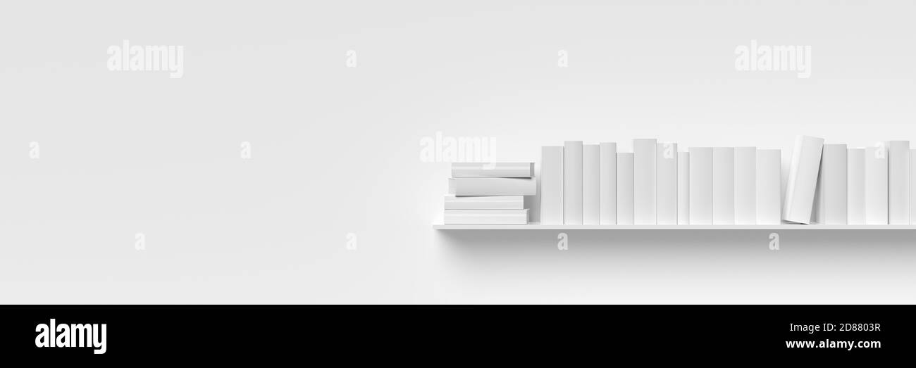 Single book shelf with white books on white wall, literature, book ...