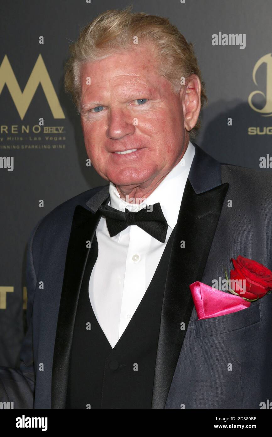 LOS ANGELES - APR 29: Terry James at the 2017 Creative Daytime Emmy ...