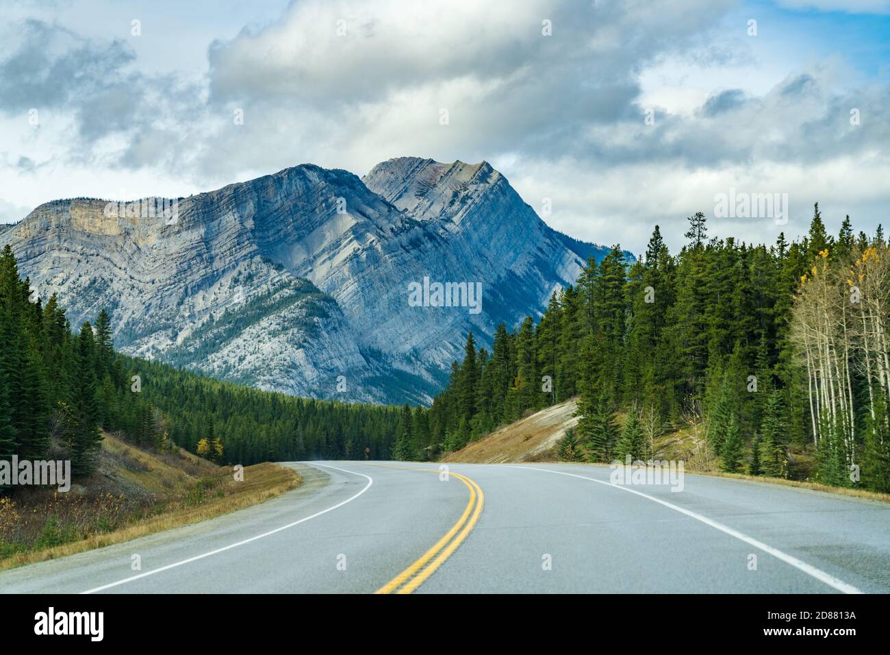 Stelfox hi-res stock photography and images - Alamy