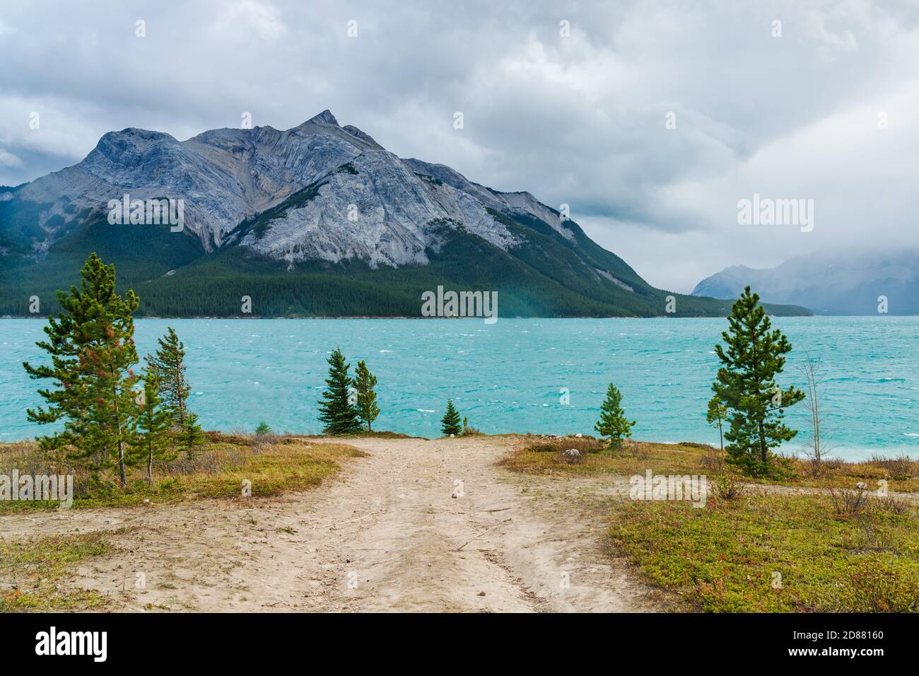 Scenery view at Abraham lake shore in autumn season, Mount Michener in ...