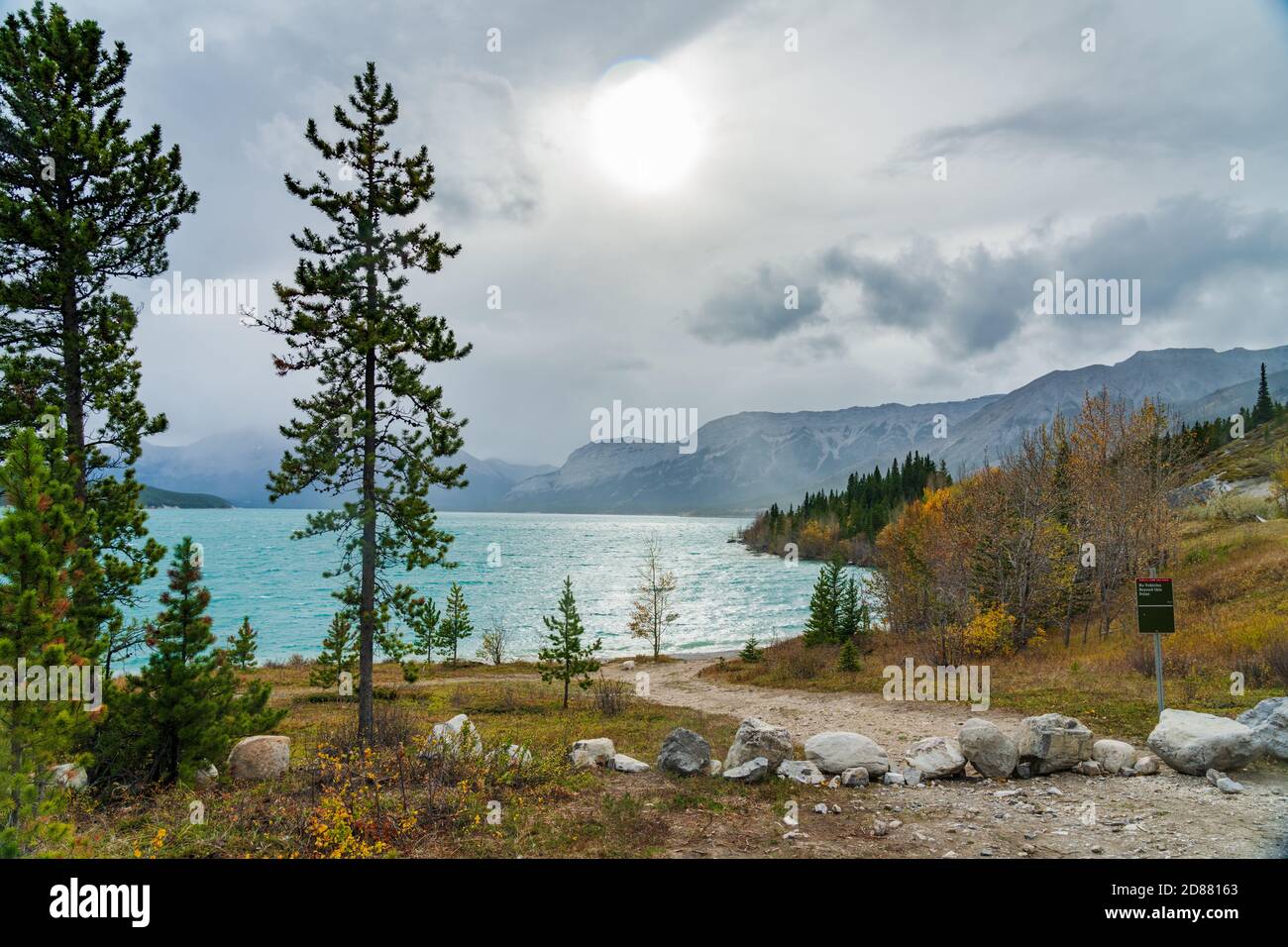 Scenery view at Abraham lake shore in autumn season. Jasper National ...