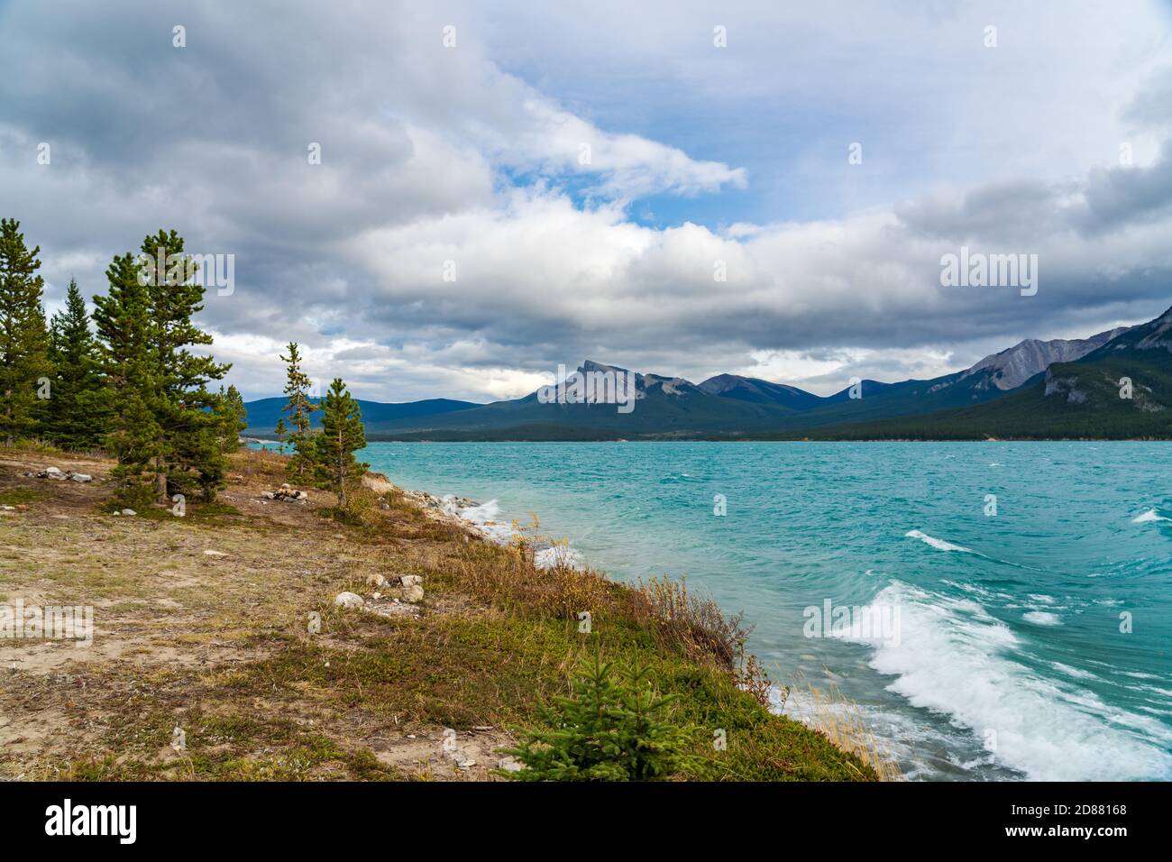 Scenery view at Abraham lake shore in autumn season. Jasper National ...