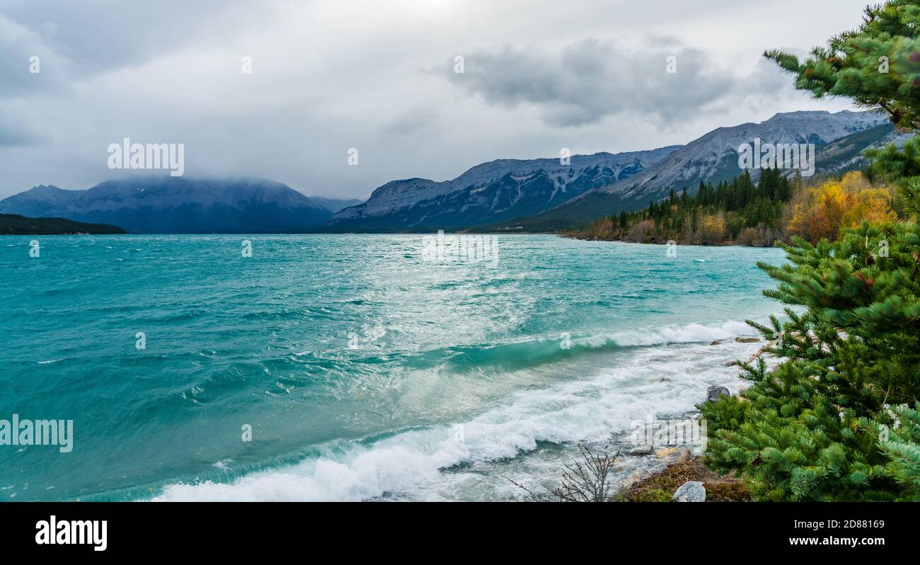 Scenery view at Abraham lake shore in autumn season. Jasper National ...
