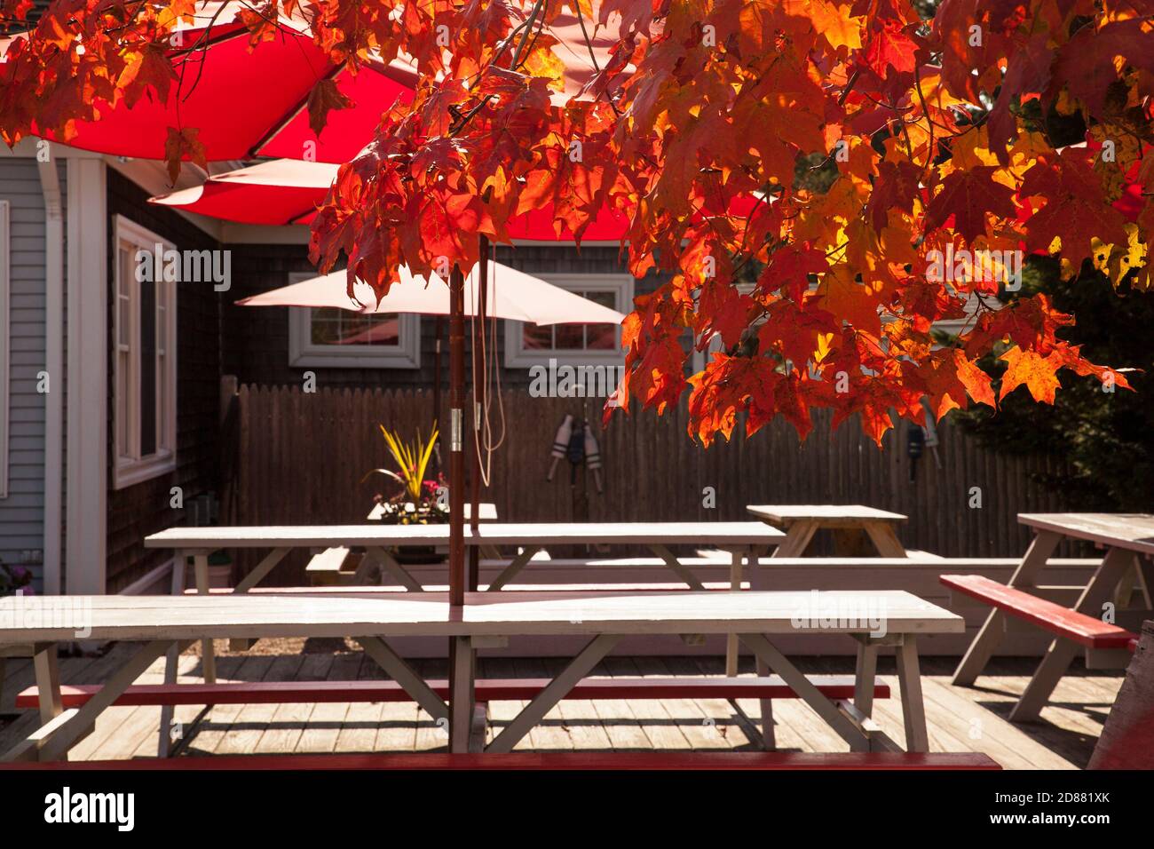 Fall dining on Cape Cod, Massachusetts Stock Photo - Alamy