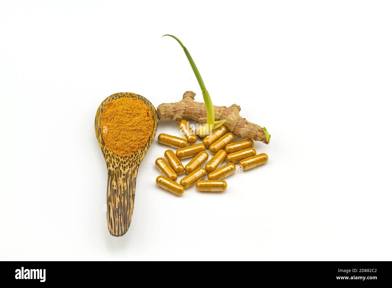 Zingiber purpureum roscoe hi-res stock photography and images - Alamy