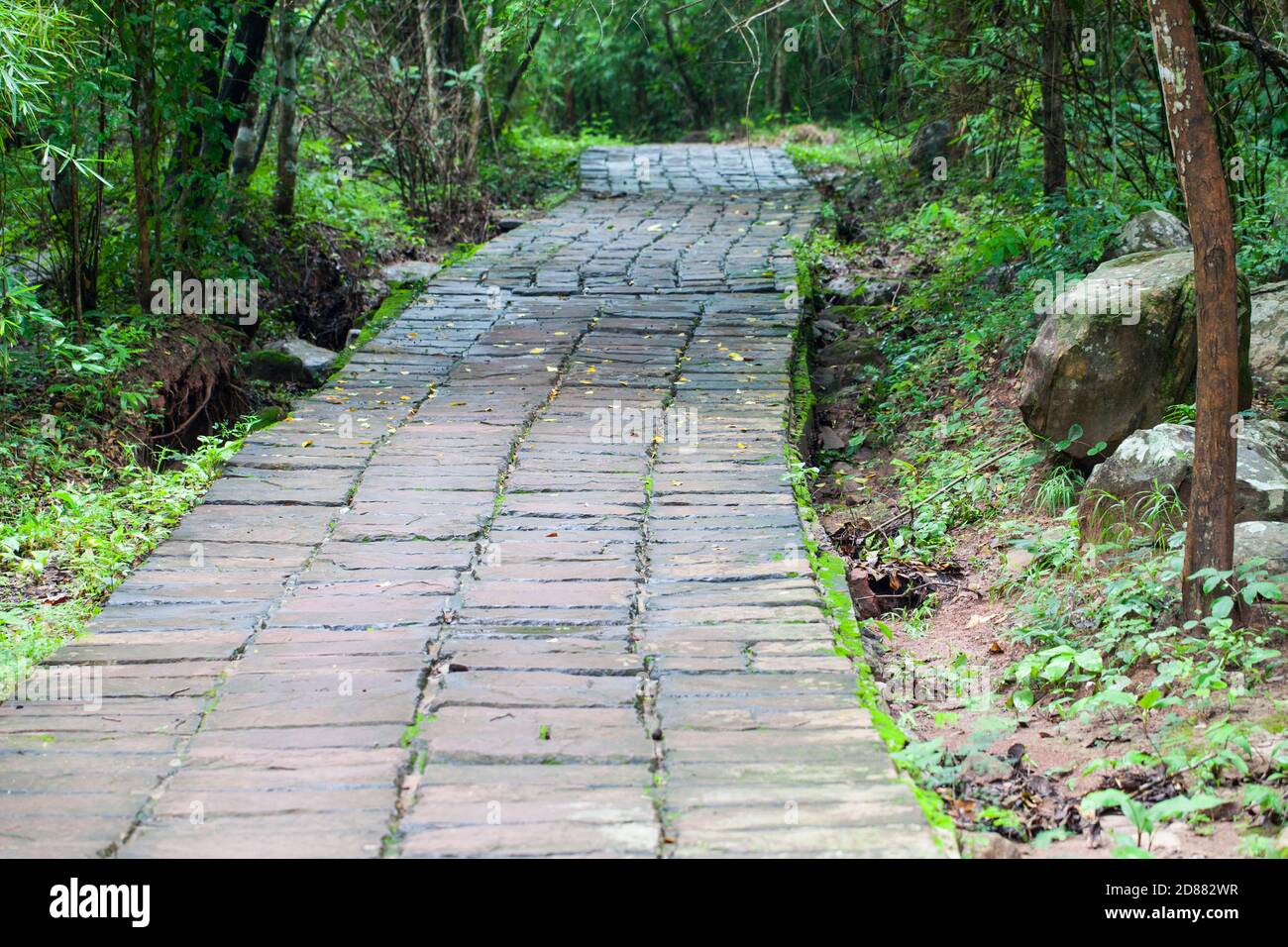 Stone pathway passing thru the Waterfall , Thailand Stock Photo - Alamy
