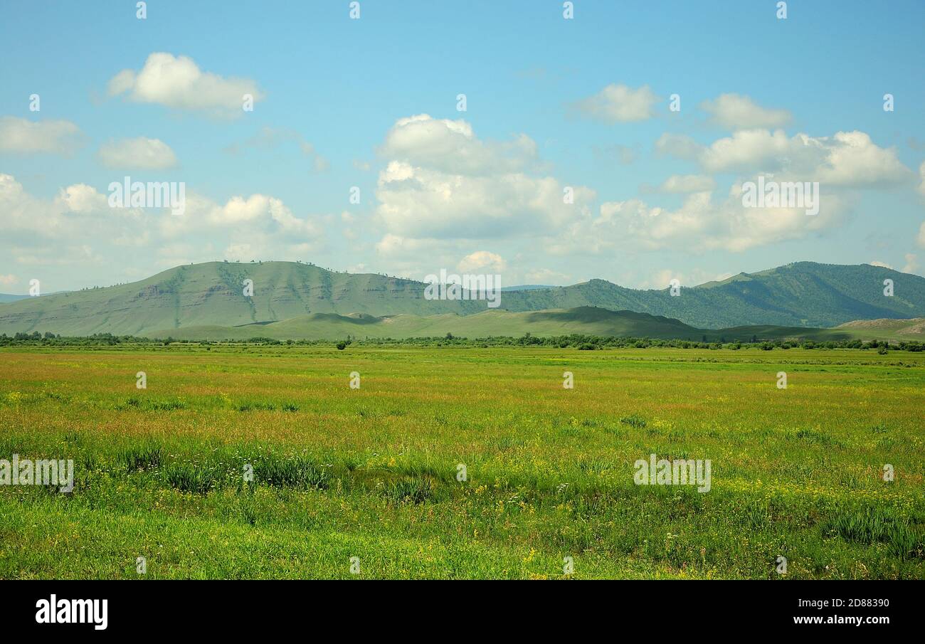 A long long steppe overgrown with green grass stretches in a valley at ...