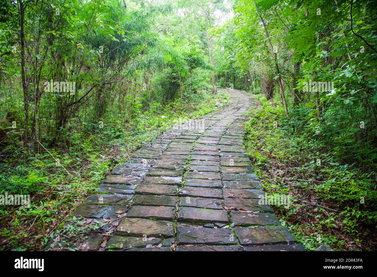 Stone pathway passing thru the Waterfall , Thailand Stock Photo - Alamy