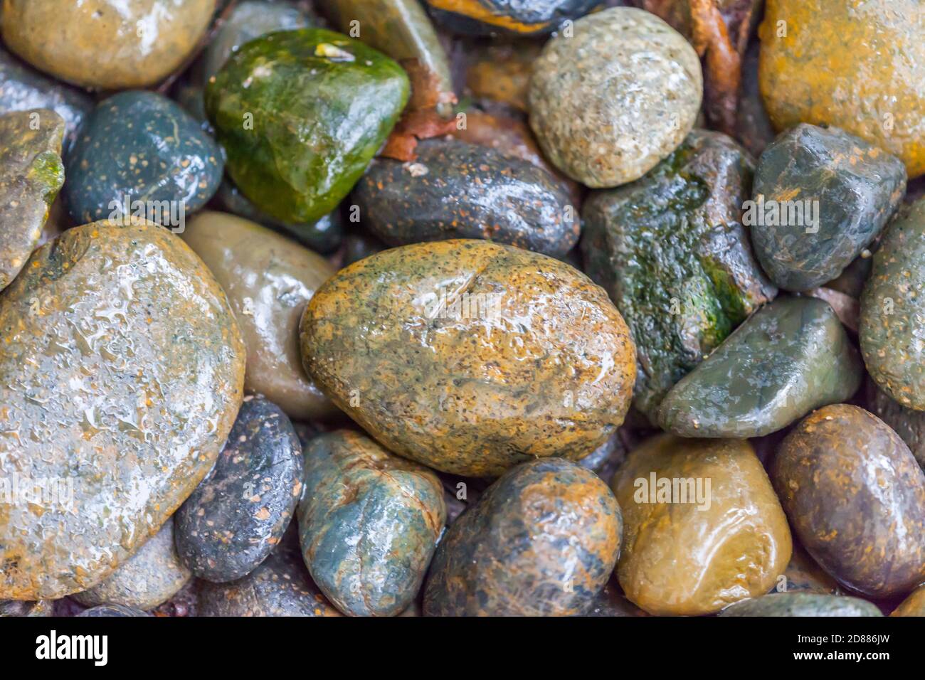 Wet river stone texture,Thailand Stock Photo - Alamy