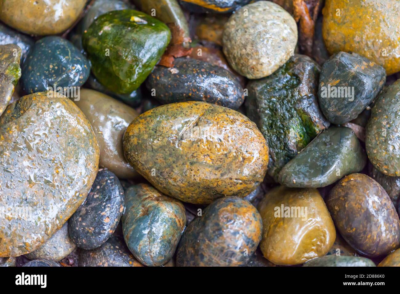 Wet river stone texture,Thailand Stock Photo - Alamy