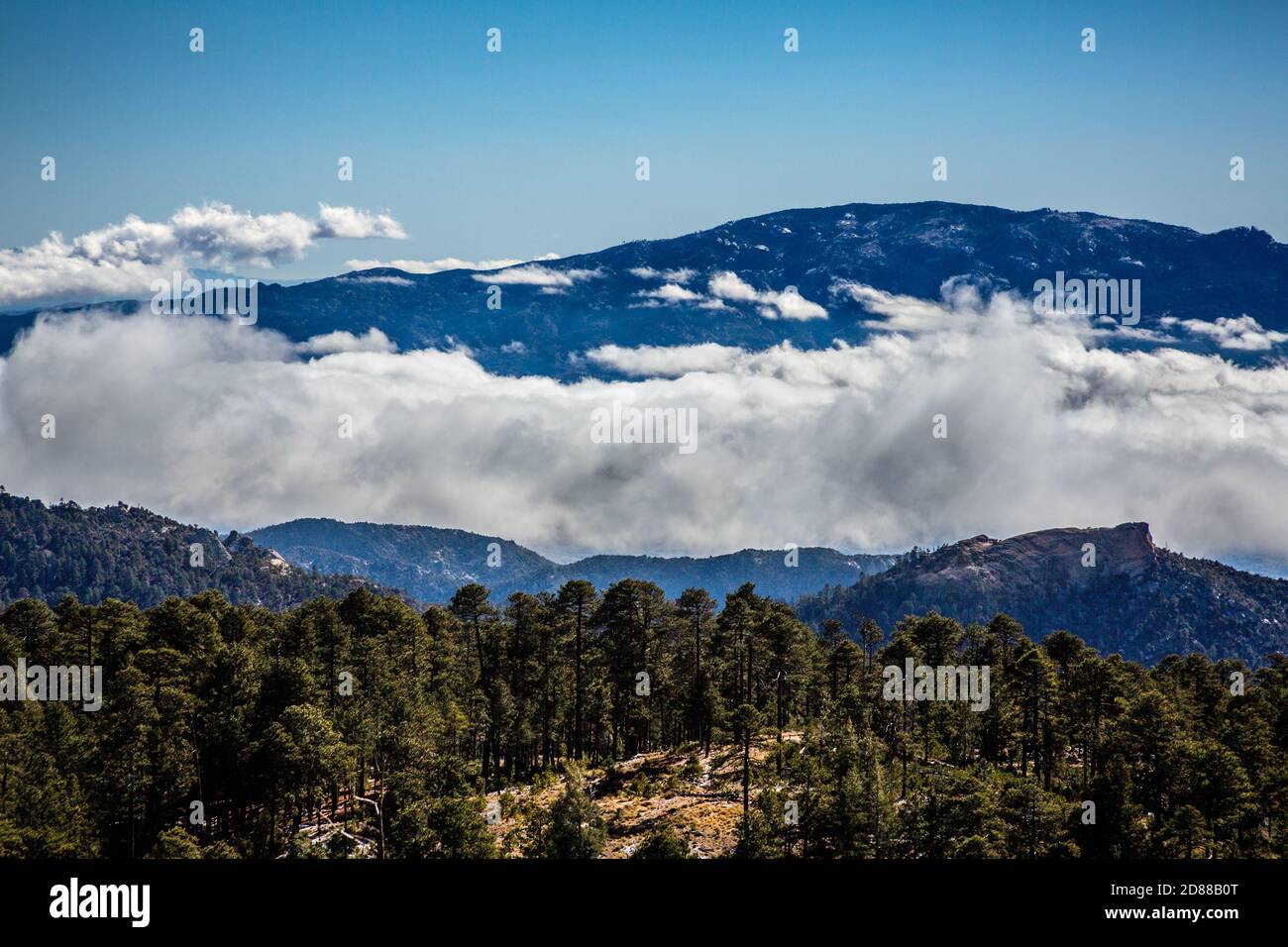 The Rincon mountains draped in clouds near Tucson, AZ Stock Photo - Alamy