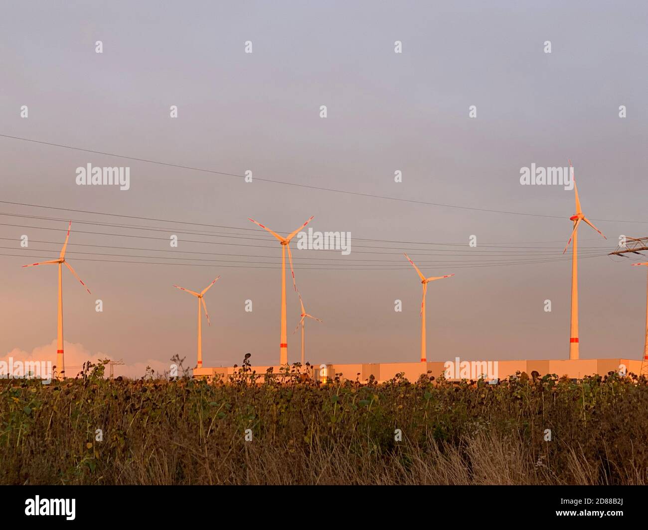 wind power plants are illuminated orange by a dramatic sunset Stock ...