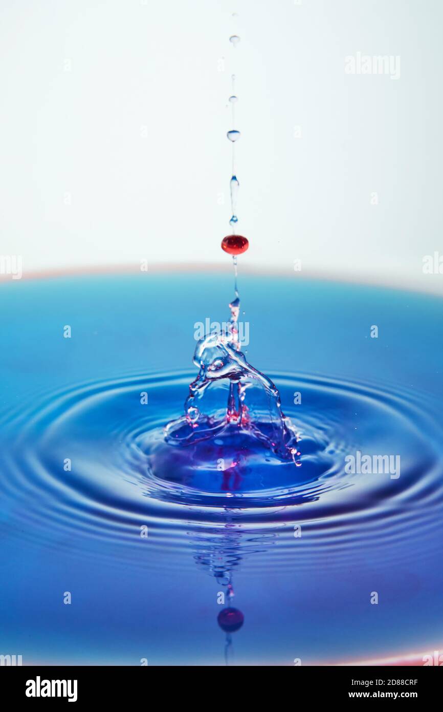 Abstract background of splash of color water, collision of colored ...