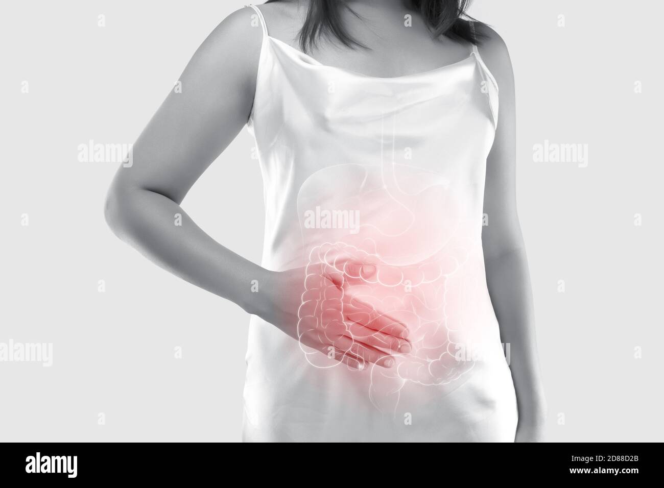 illustration of the large intestine and internal organs in the women's ...